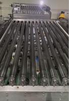 China Most Stable Sardine Fish Grading Machine, Sorting Other Small Fish With Large Capacity for sale