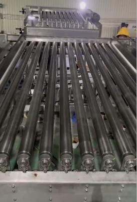 China Most Stable Sardine Fish Grading Machine, Sorting Other Small Fish With Large Capacity for sale