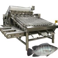 China High Yield Tilapia Grader 4.9kw Fish Roller Sorter Mackerel Sorting Machine Mackerel Roller Sizing Equipment for Seafood for sale