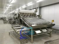 China Large Yield Sardine Sizing Machine With 12 Roller Automatic Sardine Grading Line Fish Roller Sorting Machine Fish Sorter for sale