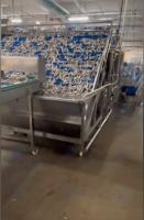 China Large Capacity Small Fish Sizing Machine Zolim Small Fish Grader High Quality Small Fish Sorter 4.4kw Automatic Fish Grader for sale