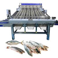 China Plastic Conveyor Saury Sorting Machine Yellow Croaker Sorting Machine Zolim Fish Grading Machine for Fish Factory Fish Grader for sale