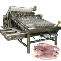 China High Capacity Fish Grading Machine Fish Roller Grader 4.9KW 2 T/H Sea Fish Grader Fish Sorting Line Zolim Fish Sizing Equipment for sale