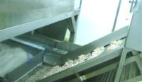 China ISO 2.2KW Automatic Commercial Fish Processing Cutter Machine with Gear and Pump Anti-Corrosion Shrimp Cooked Machine for sale