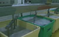 China Zolim Stainless Steel 304 Automatic Mix Machine Wear Resistant Stable High Capacity 1200kg Max 380V for Stirring for sale