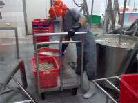 China Stainless Steel Seafood Soaking Machine High Stable Automatic Food Blender 1.1KW Seafood Mixing Machine for sale