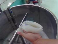China Zolim Soaking Machine for Fillet 1.1kw Shrimp Soaking Machine Automatic Seafood Soaking Machine Best Soaking Equipment for sale