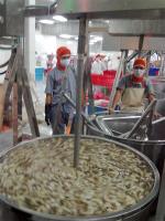 China Zolim Soaking Machine for Fillet 1.1kw Shrimp Soaking Machine Automatic Seafood Soaking Machine Best Soaking Equipment for sale
