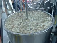 China Zolim Soaking Machine for Fillet 1.1kw Shrimp Soaking Machine Automatic Seafood Soaking Machine Best Soaking Equipment for sale