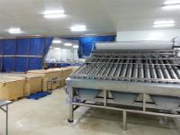 China SUS304 Practical Shrimp Sorting Machine , Anti Corrosion Prawn Grader High Capacity Shrimp Sizing Machine Shrimp Sorter for sale