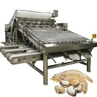 China Stainless Steel Shrimp Sorting Equipment Stable Anti Erosion 4.9KW Shrimp Sizing Machine for Prawn Plant Automatic Prawn Grader for sale