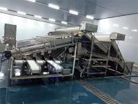 China Zolim 4.9KW Automatic Shrimp Grading & Sorting Machine 380V 1000-2000kg/h Capacity Anti-Erosion Roller Grader for sale