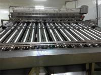 China Zolim 4.9KW Automatic Shrimp Grading & Sorting Machine 380V 1000-2000kg/h Capacity Anti-Erosion Roller Grader for sale