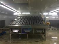 China Zolim 4.9KW Automatic Shrimp Grading & Sorting Machine 380V 1000-2000kg/h Capacity Anti-Erosion Roller Grader for sale