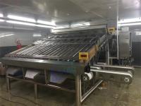 China Zolim 4.9KW Automatic Shrimp Grading & Sorting Machine 380V 1000-2000kg/h Capacity Anti-Erosion Roller Grader for sale