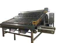 China Durable Roller Shrimp Grading Machine 1500kg-2000kg/H Roller Shrimp Sorter High Stable Roller Shrimp Sizing Machine for Seafood for sale