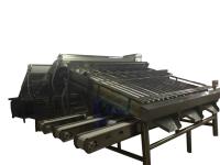 China Durable Shrimp Grading Machine 4.9KW  Fish Sorting Machine for Seafood Plants Automatic Prawn Sizing Line Zolim Fish Grader for sale