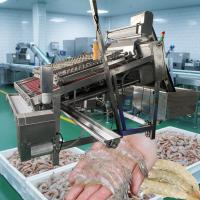 China 380V Shrimp Peeling Machine Zolim Fully Automatic Shrimp Sheller Can Customized Shrimp Shell Remover New Shrimp Shelling Machine for sale