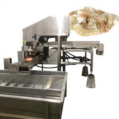 China Stable 380V Zolim Automatic Seafood Processing Plant Multipurpose Shrimp Deheading Line System Shrimp Head Remover 1000-1500kg/h for sale