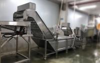 China Stable 380V Zolim Automatic Seafood Processing Plant Multipurpose Shrimp Deheading Line System Shrimp Head Remover 1000-1500kg/h for sale
