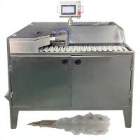 China Multiscene Prawn Shrimp Peeling Machine Automatic 1.55KW 1040x930x1300mm Shrimp Deveiner for Shrimp Proecssing Shrimp Peeler for sale