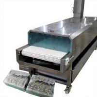China CE Automatic Depanning Machine for Frozen Fish Shrimp Seafood Processing 380V 50Hz Automatic Tray Separator for sale