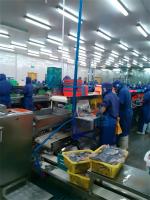 China Fish Skinning Machine 1200x600x930mm for Industrial Fish Peeler Fish Peeling Machine Fish Skinner 300-400KG/H for sale