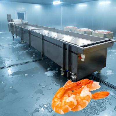 China Automatic Shrimp Cooling Machine for Seafood Plant 380V Shrimp Cold Water Machine Zolim Shrimp Cooling Line New Shrimp Cooler for sale