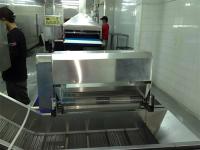 China Automatic Shrimp Cooling Machine for Seafood Plant 380V Shrimp Cold Water Machine Zolim Shrimp Cooling Line New Shrimp Cooler for sale