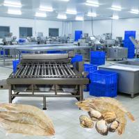 China Stainless Steel Shrimp Sizing Machine 4.9kw Prawn Sorting Machine for Seafood Processing Zolim Shrimp Sorting Machine Prawn for sale