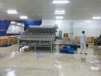 China Stainless Steel Shrimp Sizing Machine 4.9kw Prawn Sorting Machine for Seafood Processing Zolim Shrimp Sorting Machine Prawn for sale