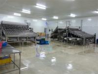 China Stainless Steel Shrimp Sizing Machine 4.9kw Prawn Sorting Machine for Seafood Processing Zolim Shrimp Sorting Machine Prawn for sale