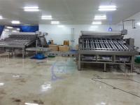 China Stainless Steel Shrimp Sizing Machine 4.9kw Prawn Sorting Machine for Seafood Processing Zolim Shrimp Sorting Machine Prawn for sale