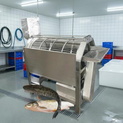 China Automatic Fish Scaling Machine for Fish Plant Fish Scale Remover Zolim Fish Descaling Machine 2.2kw Fish Descaling Equipment for sale