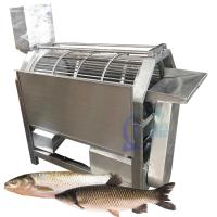 China Zolim Automatic Fish Descaling Machine for Fish Processing Production Line 500-600kg/H Capacity 380V for sale