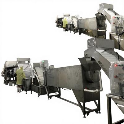 China Zolim Automatic Shrimp Dehead Line Removal Machine & Head Removing System 10.8KW 380V for Shrimp Processing Production Line for sale