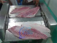 China High Quality Fish Skin Removal Machine Fish Skinning Machine Squid Tilapia Fish Peeling Cleaning Processing Machine for sale