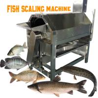 China Stainless Steel Fish Processing Equipment Fish Scale Scraping Machine Fish Scale Cutting Equipment Electric Descaling Machine for sale