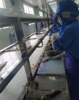 China Semi-automatic Fish Peeling Machine Fish Processing and Peeling Production Line Electric Peeling Machine for sale