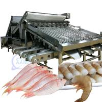 China Automatic Fish Grading Machine Sorting Machine Fish Size Grading Machine for sale