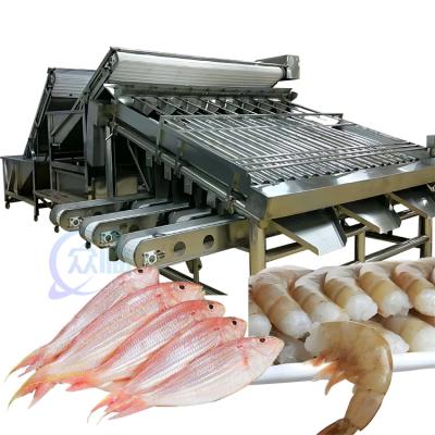 China Automatic Fish Grading Machine Sorting Machine Fish Size Grading Machine for sale