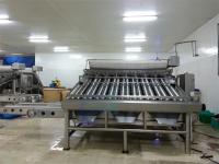 China Automatic Fish Grading Machine Sorting Machine Fish Size Grading Machine for sale