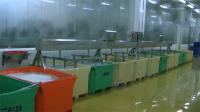 China Seafood Blender for Fish Processing Best Soaking Machine for Fish Zolim Shrimp Blender for Seafood Processing Plants for sale