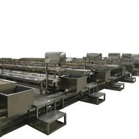 China Shrimp Processing Line Shrimp De-heading and Shelling Processing Line Fish Processing Factory Production Line for sale