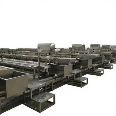 China Shrimp Processing Line Shrimp De-heading and Shelling Processing Line Fish Processing Factory Production Line for sale