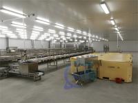 China Shrimp Processing Line Shrimp De-heading and Shelling Processing Line Fish Processing Factory Production Line for sale