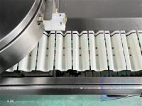 China Automatic butterfly Split Shrimp Peeling Machine Shrimp Processing Equipment  Shrimp Peeled and Gutted Machine Prawn Peeler for sale