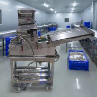 China Sushi Shrimp Cutting Machine Zolim Shrimp Belly Opening Machine 0.4kw Sushi EBI Cutter 70kg Shrimp Processing Machine for sale