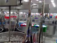 China Shrimp Soaking Blender Shrimp Processing Machine Immersion Mixer Insulation Barrel Mixer Automatic Shrimp Mixer Fillet Soaking for sale