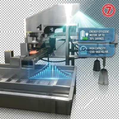 China 380V Powered Shrimp Head Body Separator Anti Corrosive SUS316 1000-1500KG 9.0KW 440V for sale